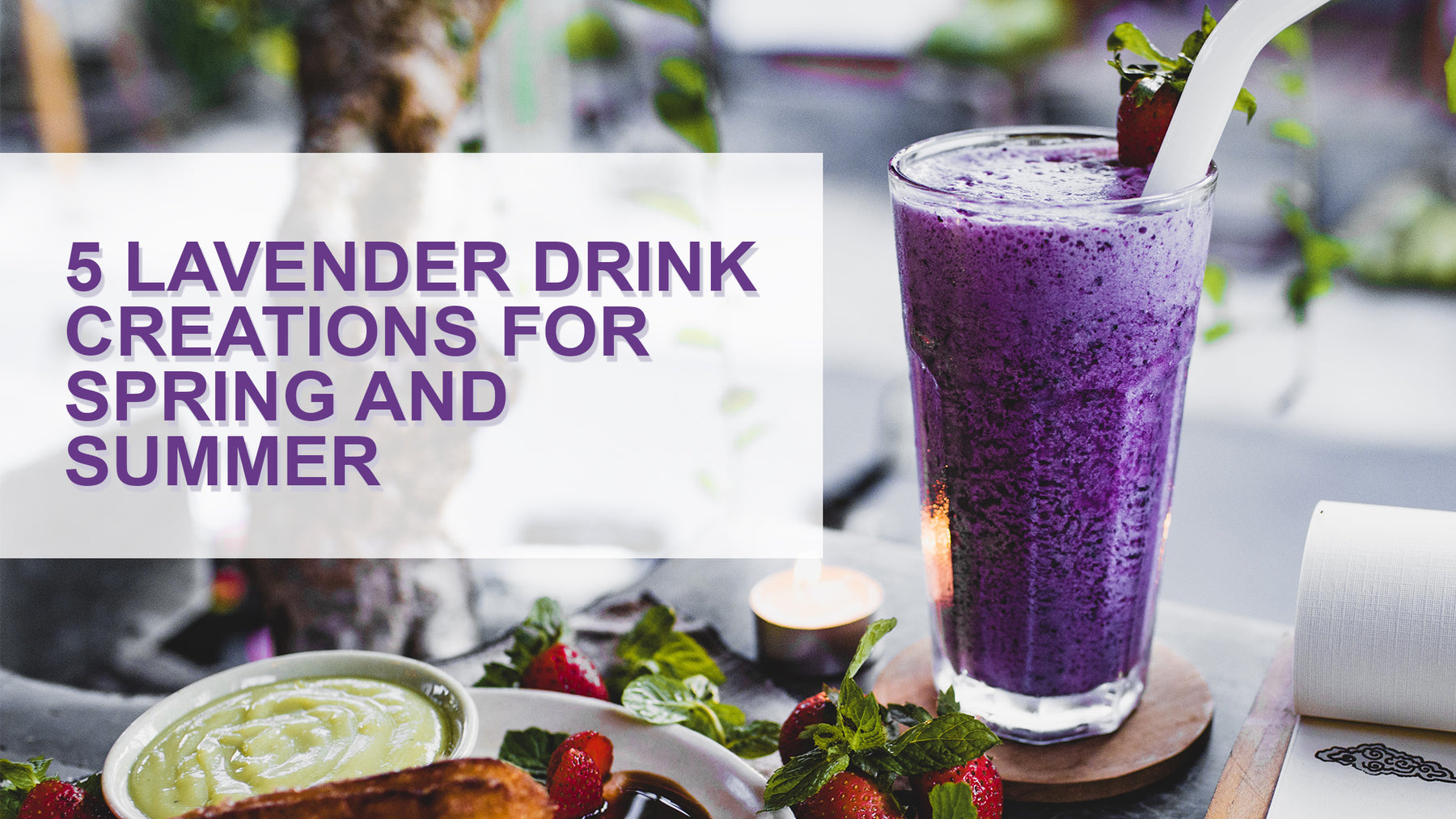5 Lavender Drink Creations For Spring and Summer – LollicupStore