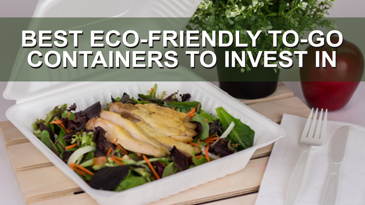 Best Eco-Friendly Wholesale To-Go Containers to Invest In – LollicupStore