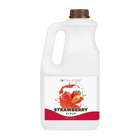 Tea Zone Strawberry Syrup - Bottle (64oz) – LollicupStore